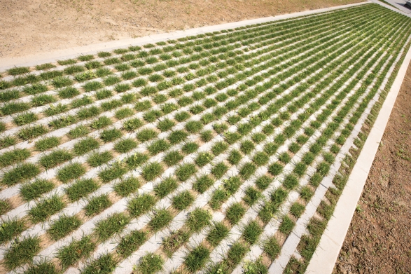 Vernieuwde wijk met Hydro Lineo XL