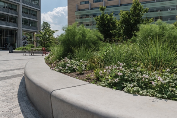 Mixbestrating en groeneilanden Secoya bedrijfscampus