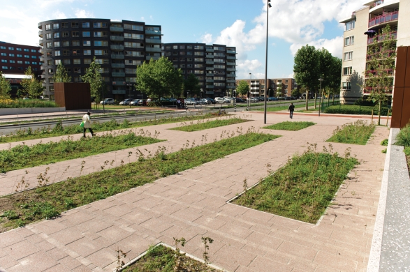 Martin Luther King Park